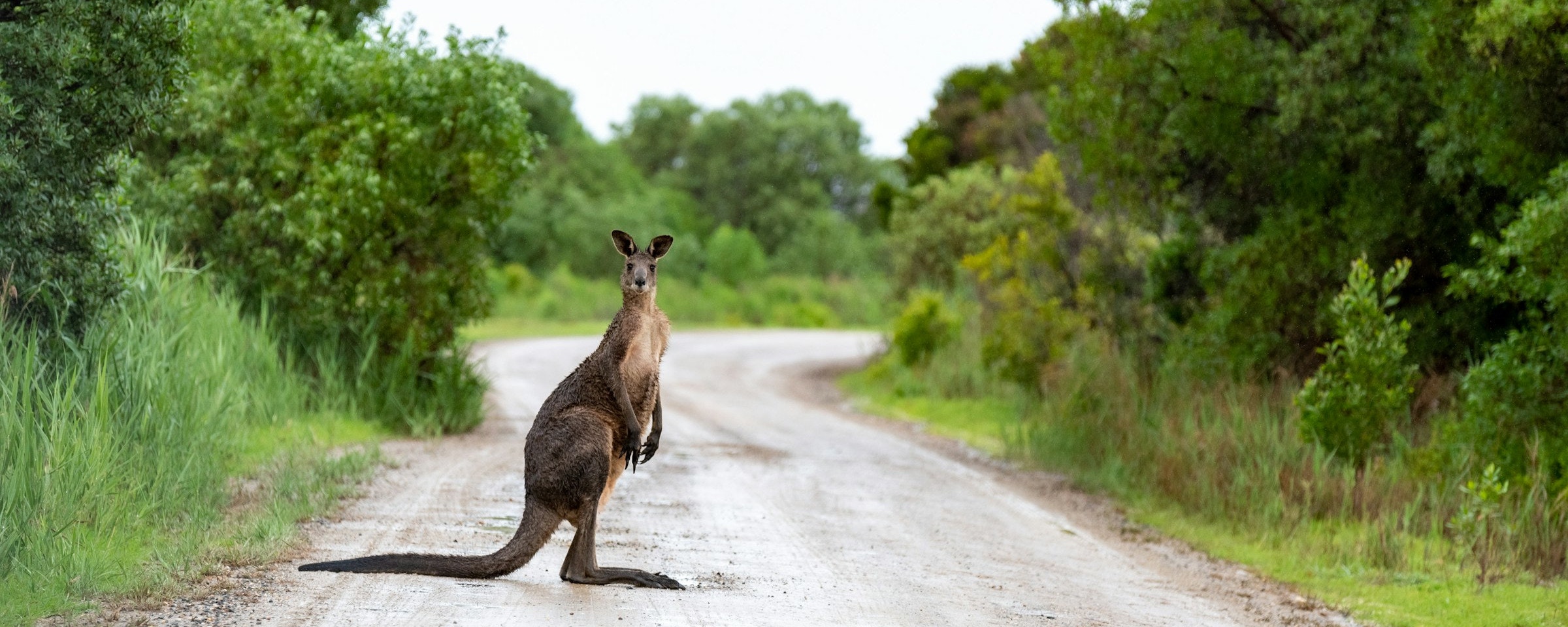 The Best 5 Money Transfer Apps in Australia in 2023